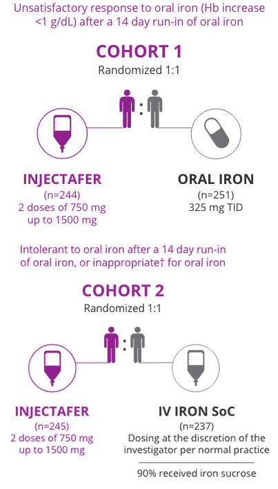 INJECTAFER® VS. Oral Iron & IV Iron SOC| INJECTAFER® HCP
